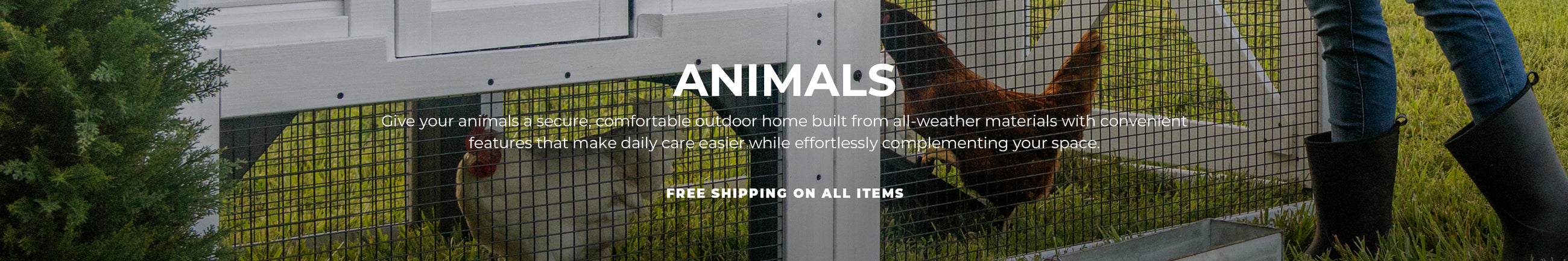 Animal Enclosures